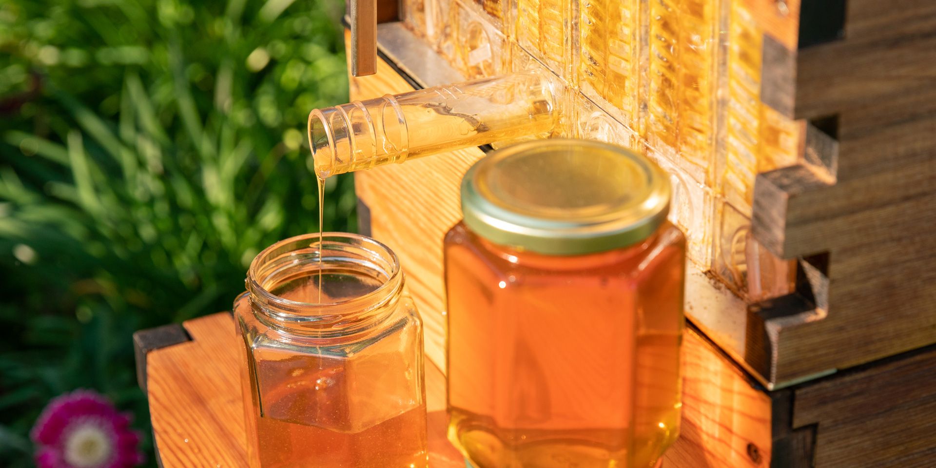 Flow Hive Harvesting Checklist