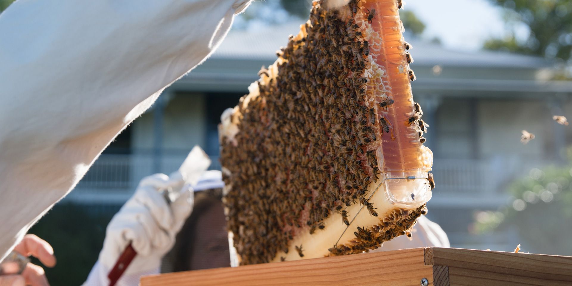 How do I change / upgrade my order?