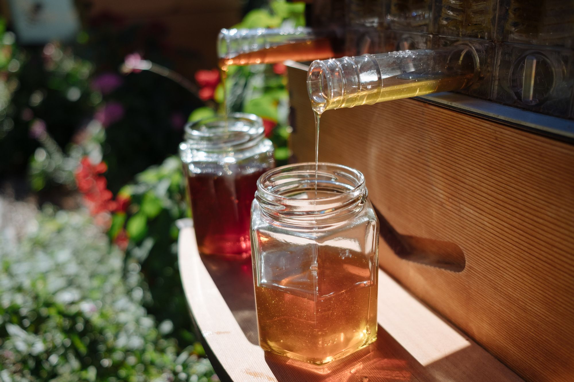 Flow Hives in the UK