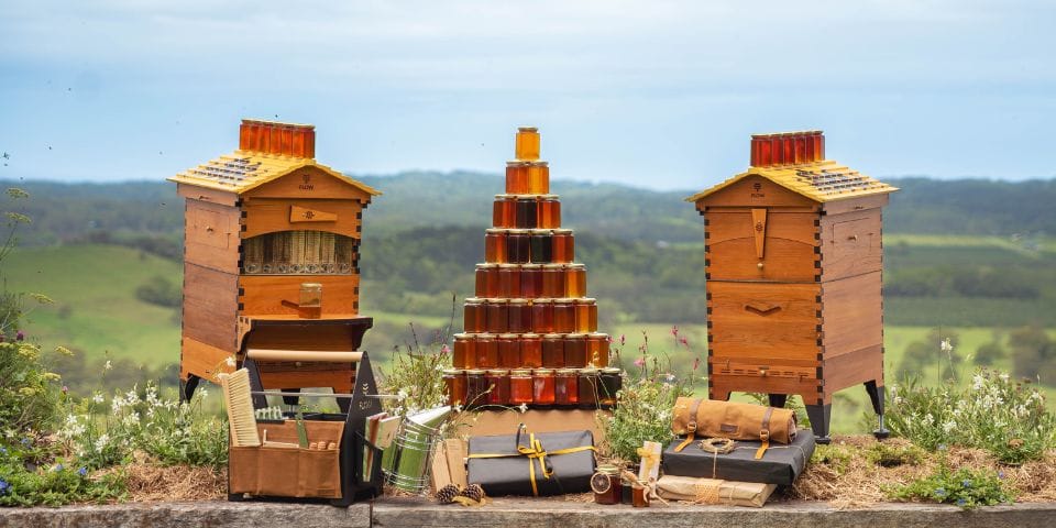 What is the best beehive for beginners?