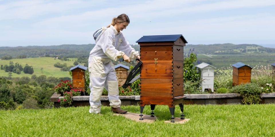 What type of beehive can I use the Flow Super Lifter with?