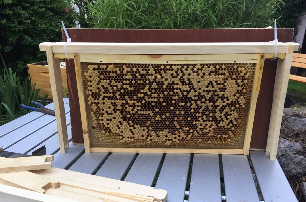 UK / British Standard National hives and Flow Frames