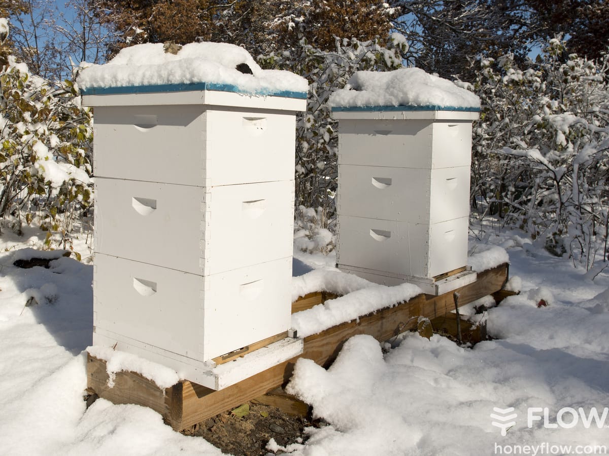 How do I prepare my Flow Hive for winter?