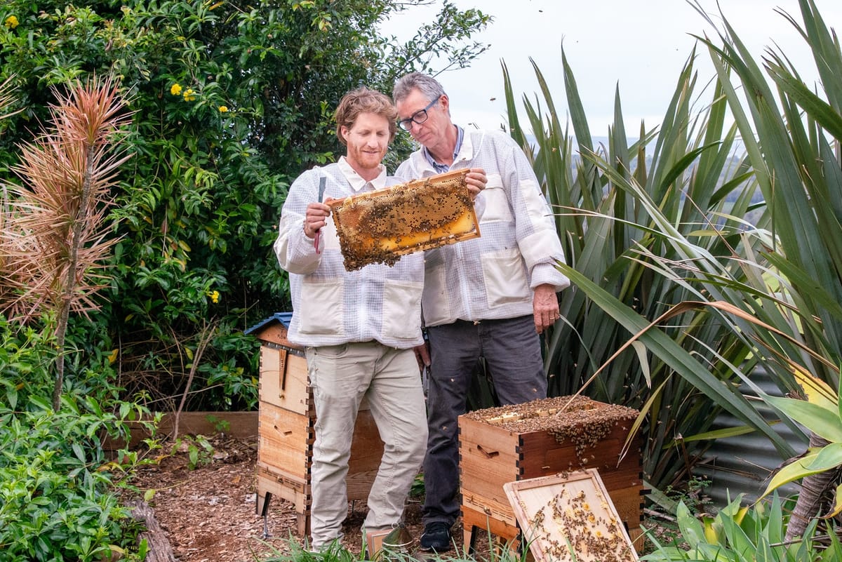 If I get a Flow Hive, does that mean I never have to open up the hive?