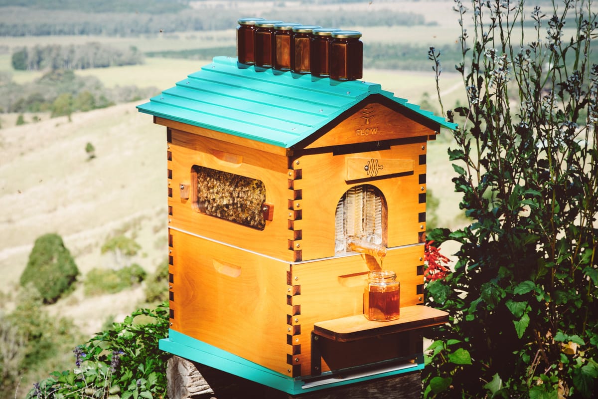 Flow Hive Hybrid - How to assemble