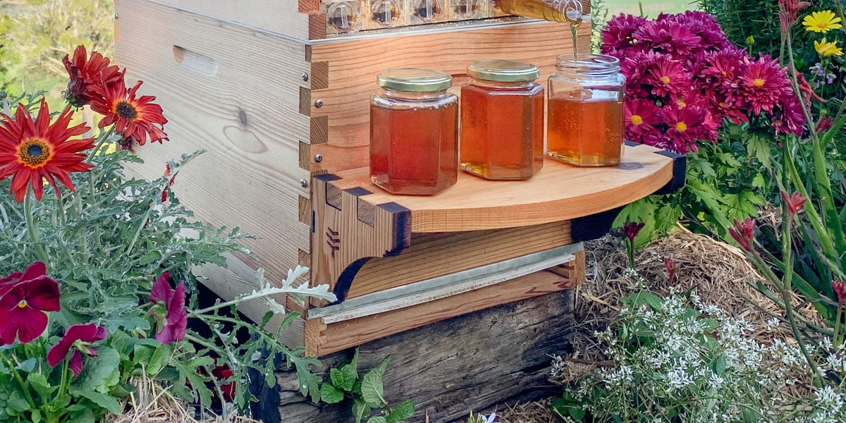 Can I order a stand for my Classic Flow Hive?