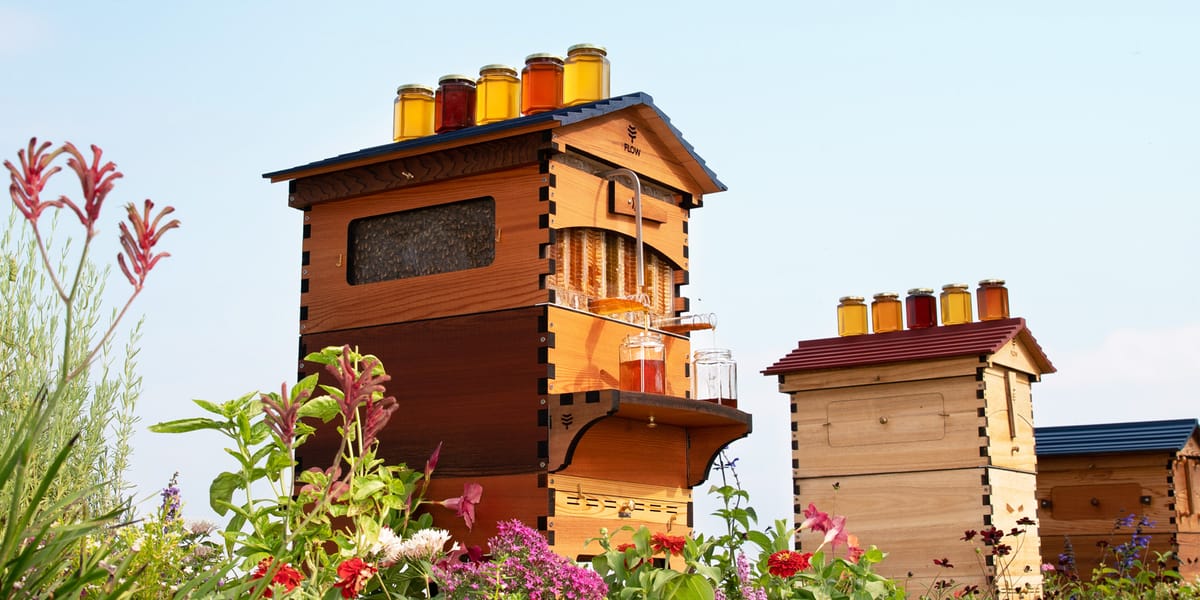 Register your Flow Hive