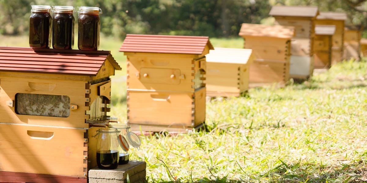 How long do the Flow Frames last?