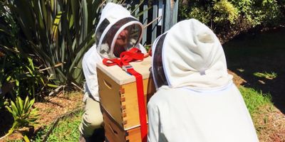 Maintaining Your Flow Hive