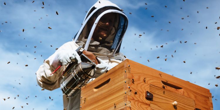 How do I prepare my Flow Hive for winter?