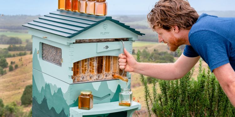 Flow Frames - Flow Hive FAQs