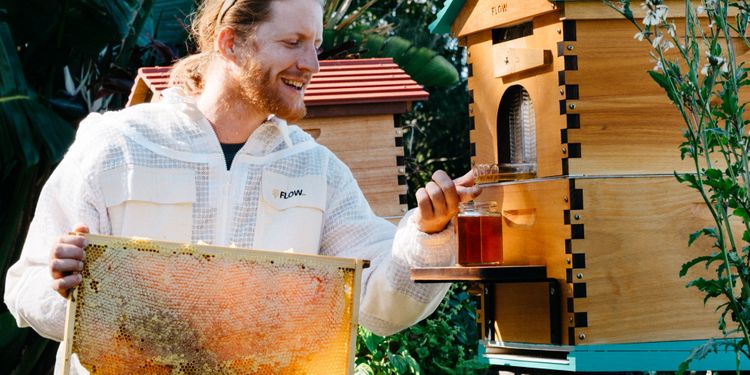 Flow Frames - Flow Hive FAQs