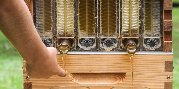 Maintaining Your Flow Hive