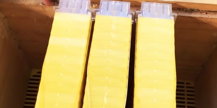 Flow Frames - Flow Hive FAQs