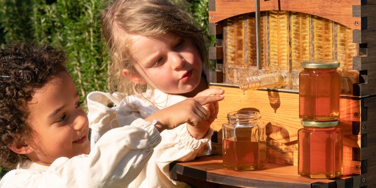 Flow Frames - Flow Hive FAQs