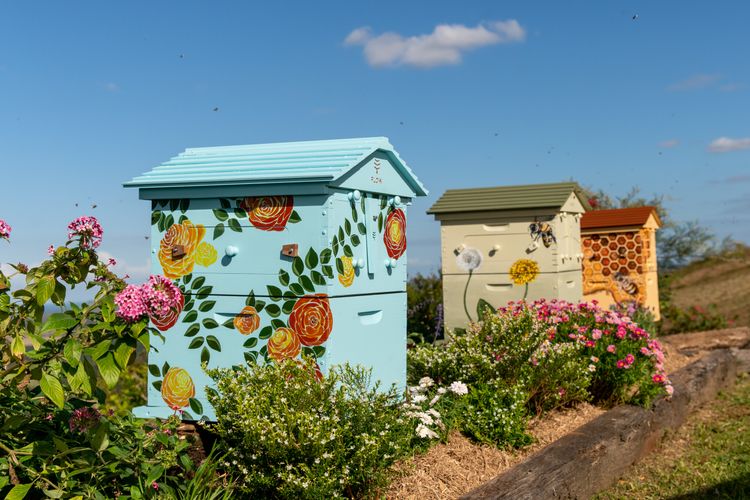 Assembly & Instructions - Flow Hive FAQs