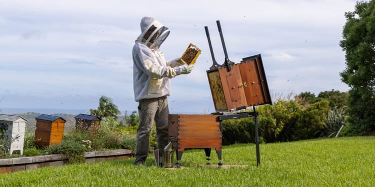 Do I need the Flow Super Lifter Handles?