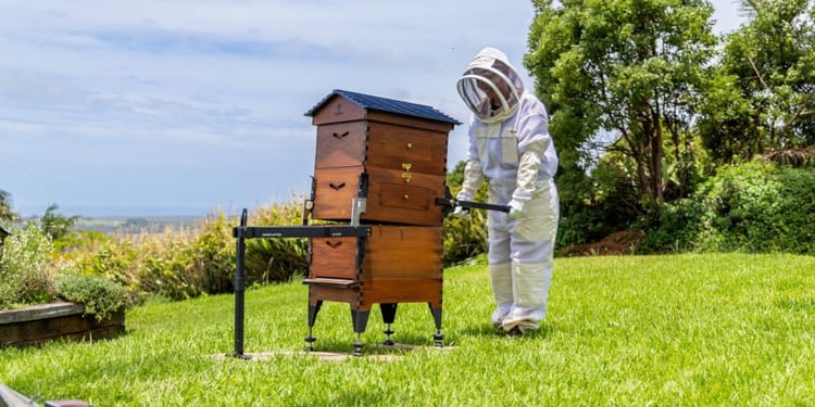 How many boxes can be lifted with the Flow Super Lifter?