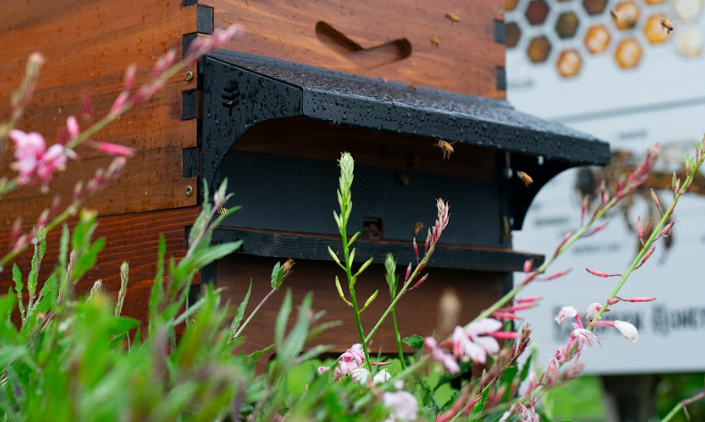 Can I use the Flow Super Lifter with the Flow Weather Guard in place?