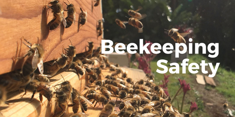 Maintaining Your Flow Hive