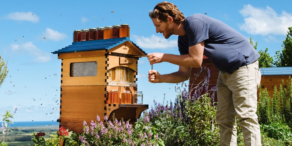 Flow Frames - Flow Hive FAQs