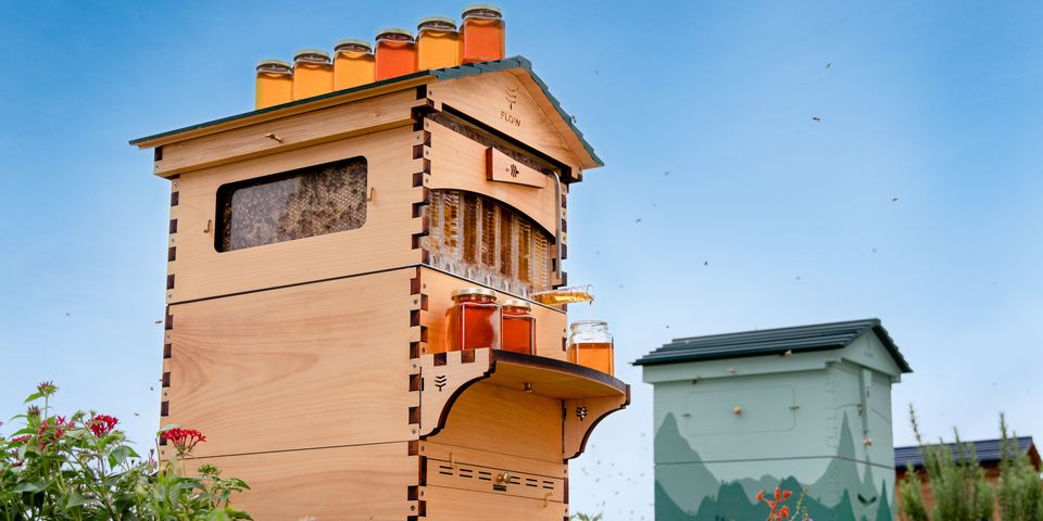 Flow Hive & Flow Frame weights and dimensions