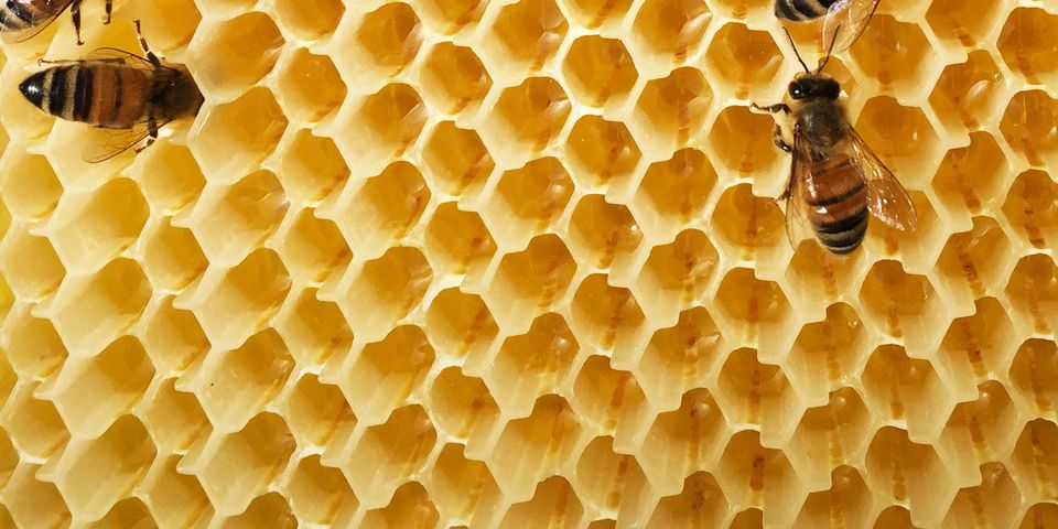 Flow Frames - Flow Hive FAQs