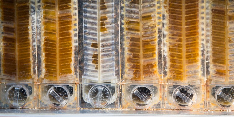 Flow Frames - Flow Hive FAQs