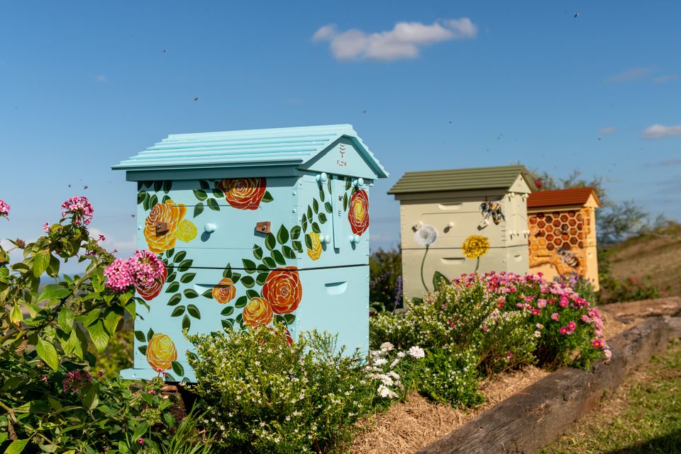 Assembly & Instructions - Flow Hive FAQs